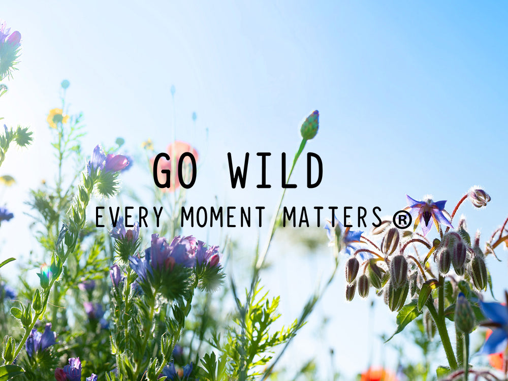 Go Wild – Ravelheart